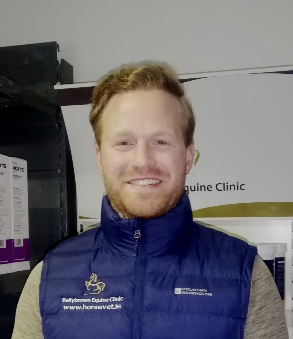 About Us - Horse Vet